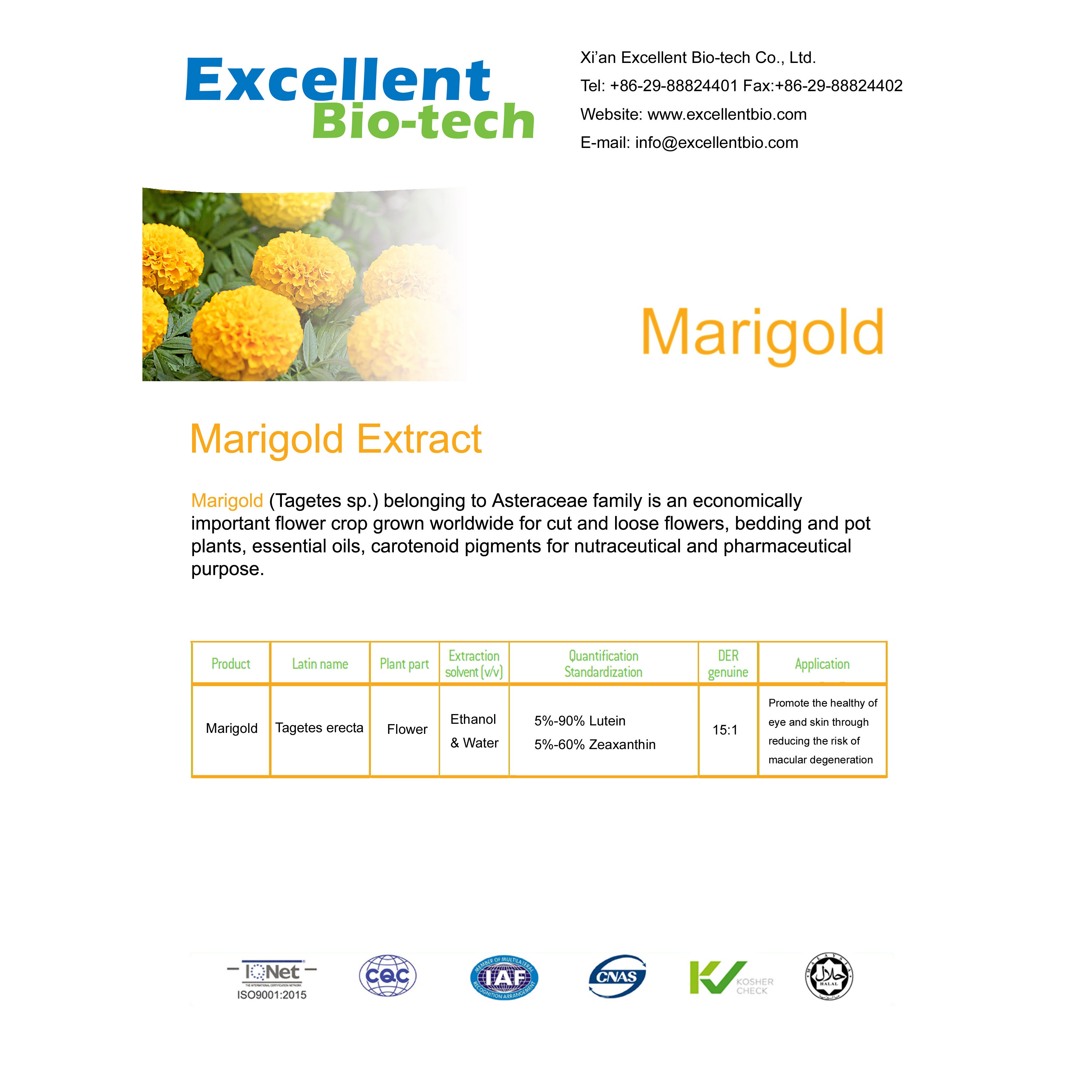 Marigold Extract