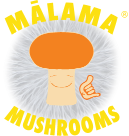 Malama Mushrooms
