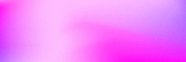 Networking & Activities