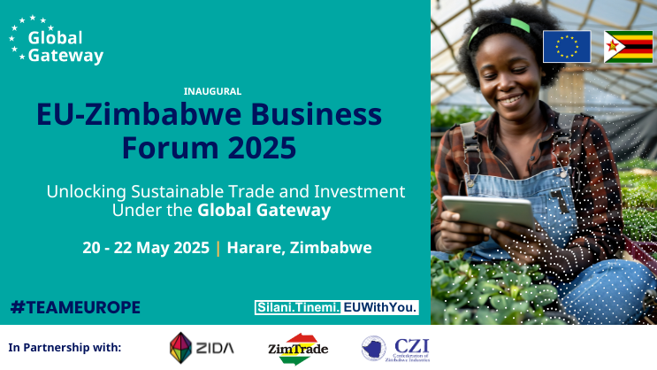 Launch of the GET.pro Zimbabwe Country Window