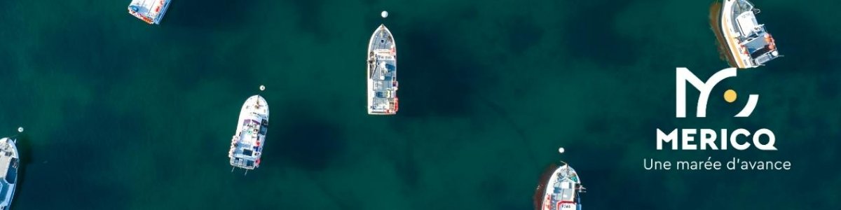 MERICQ