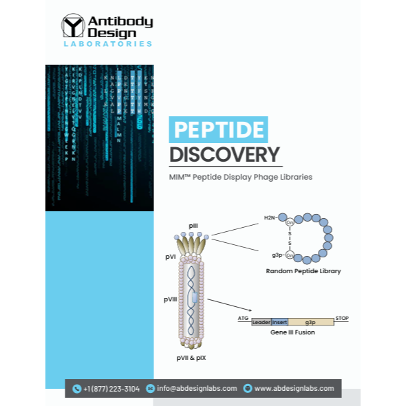 Peptide Library Construction