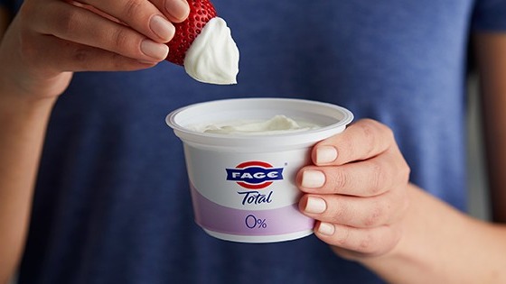 Fage USA Dairy Industry, Inc.