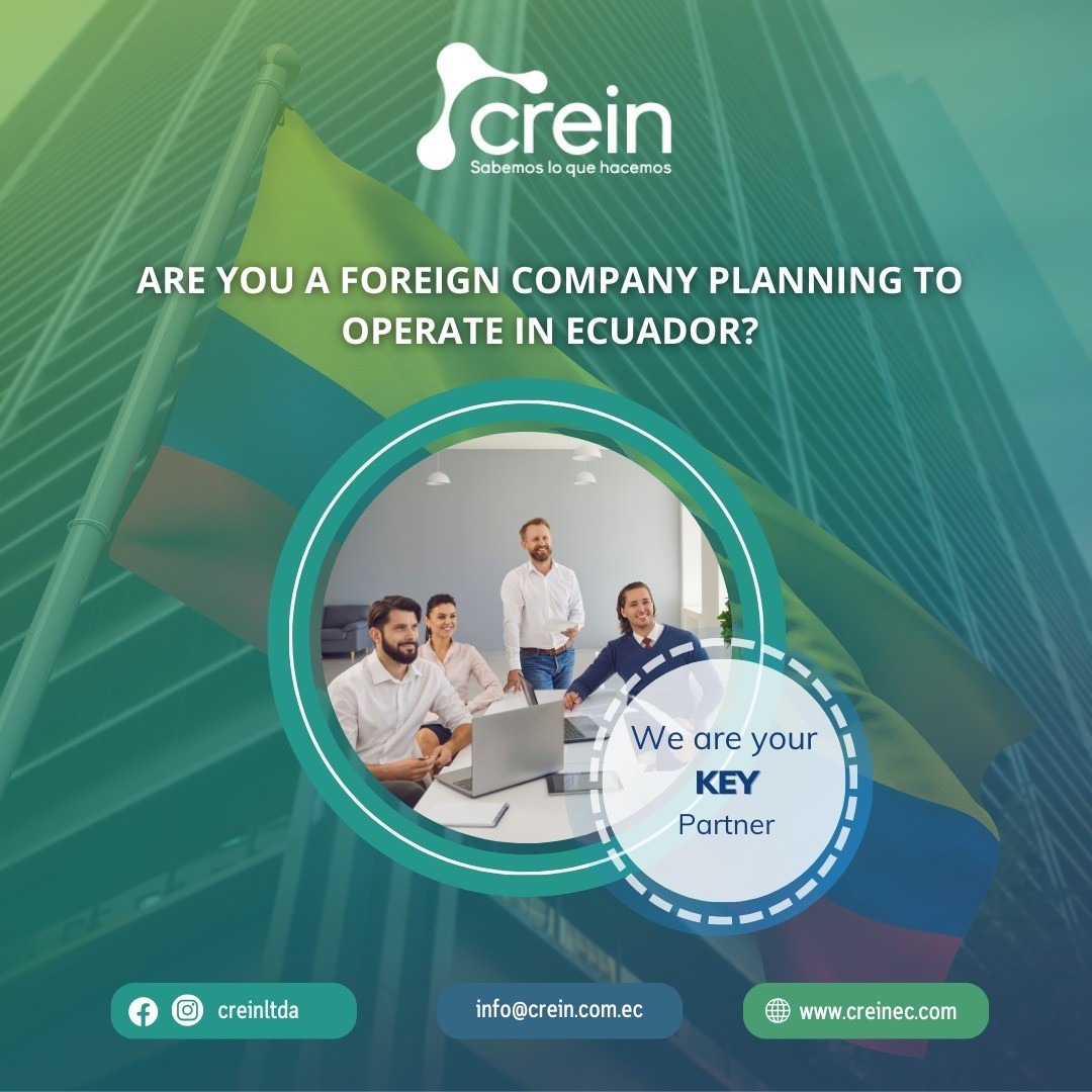 REPRESENTATIVE SERVICES (HOLDING)