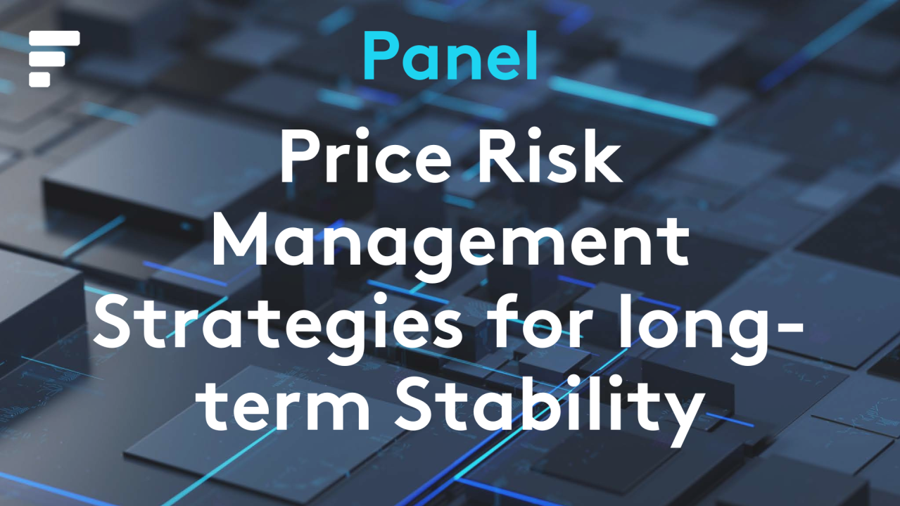 Price Risk Management Strategies for long-term Stability