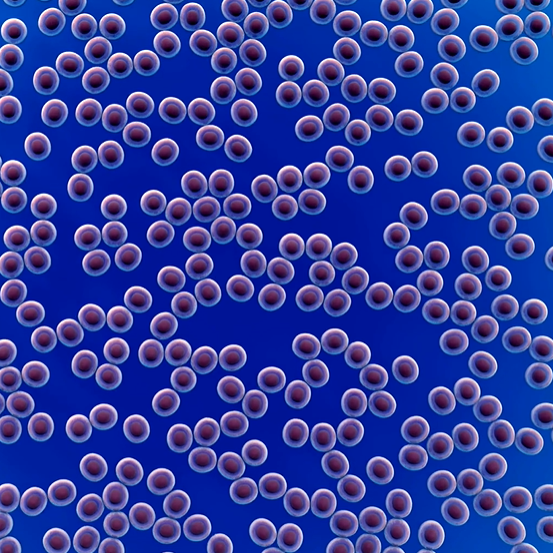 Cancer Screening/ Detection Assays by dPCR (Same Day Report)