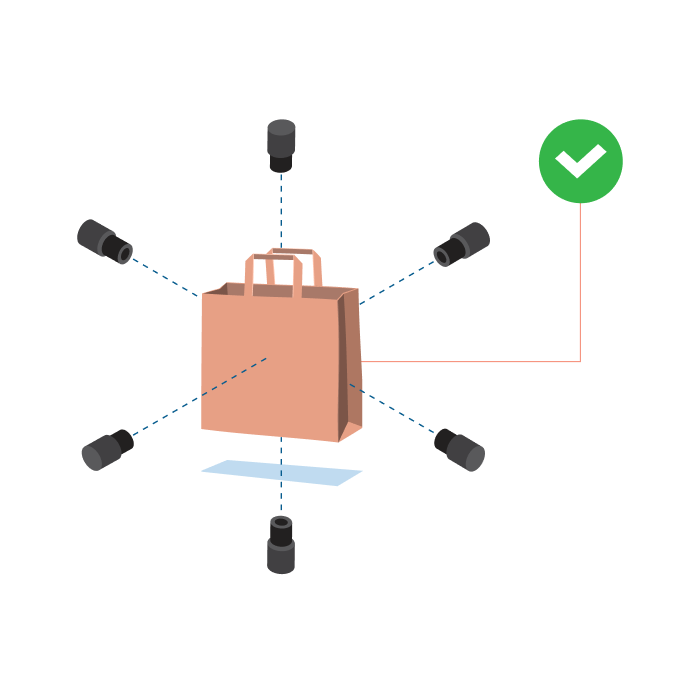 Paper Bag Inspection