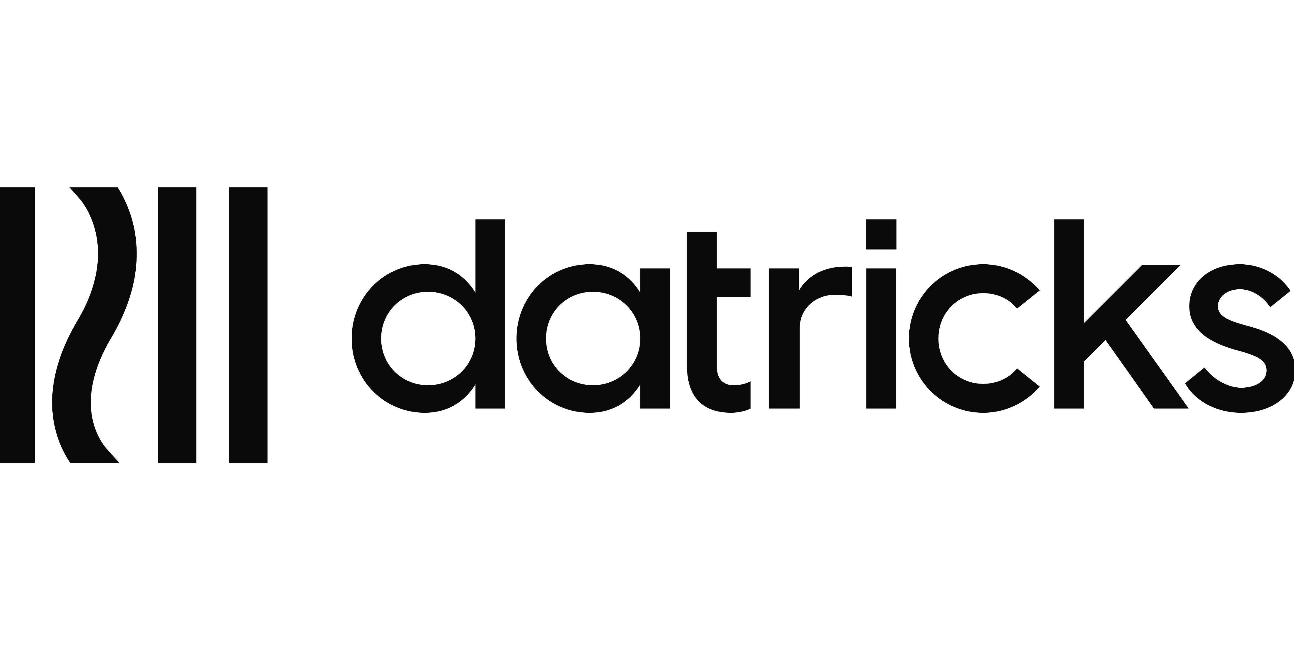 Datricks, Inc.