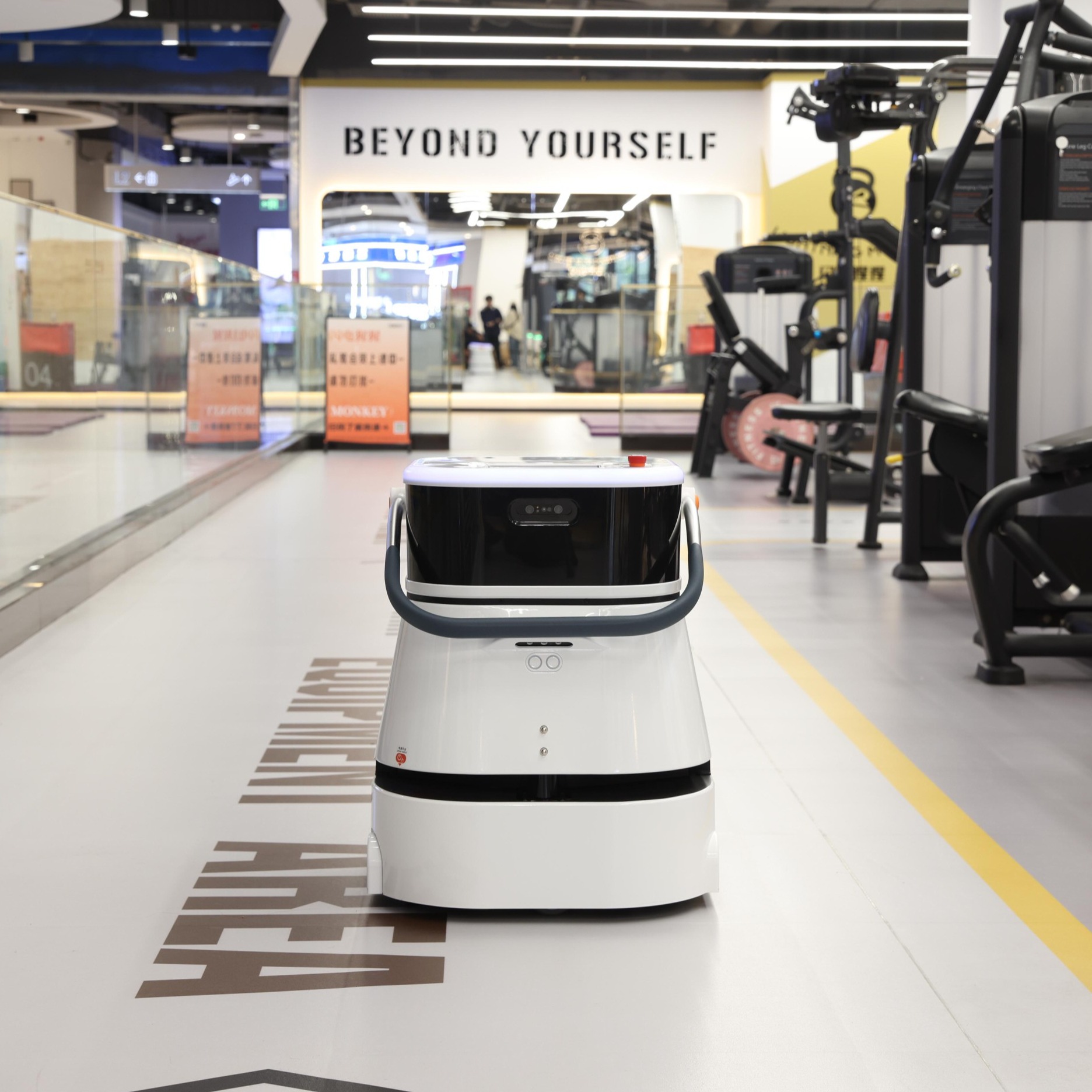 Allybot-C2 Video