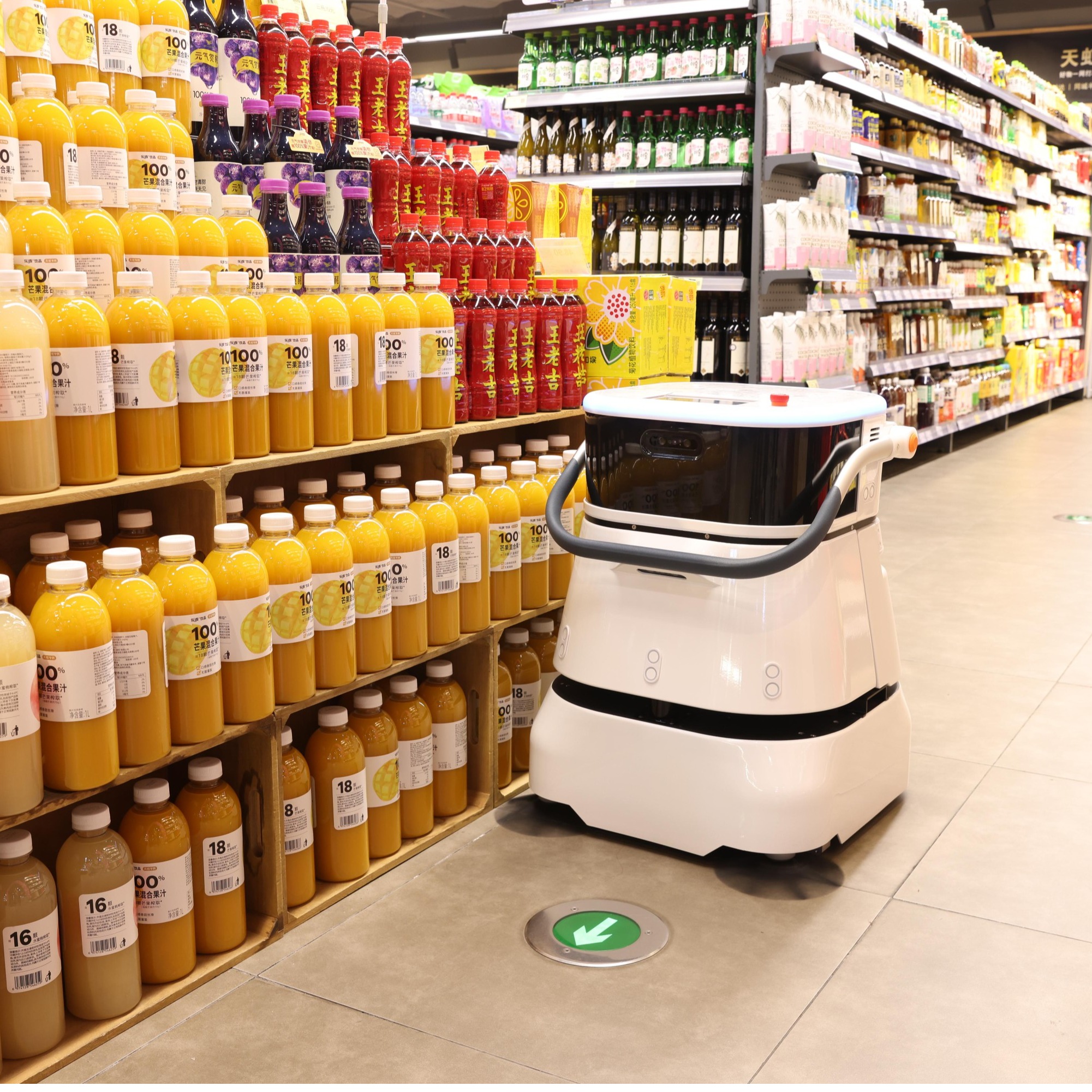 Allybot-C2 Pro