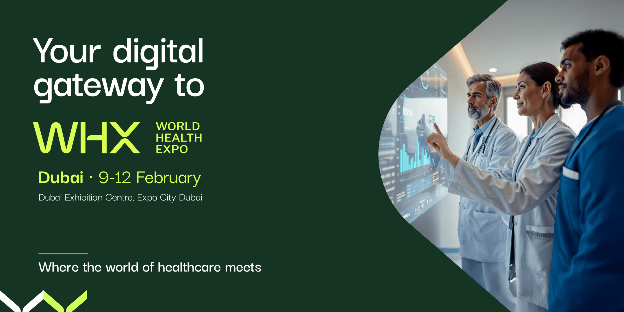 Dental Absorbable Gelatin Hemostatic/Haemostatic Sponge/Dental Sponge ...