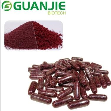 Red Yeast Rice Powder/Granule
