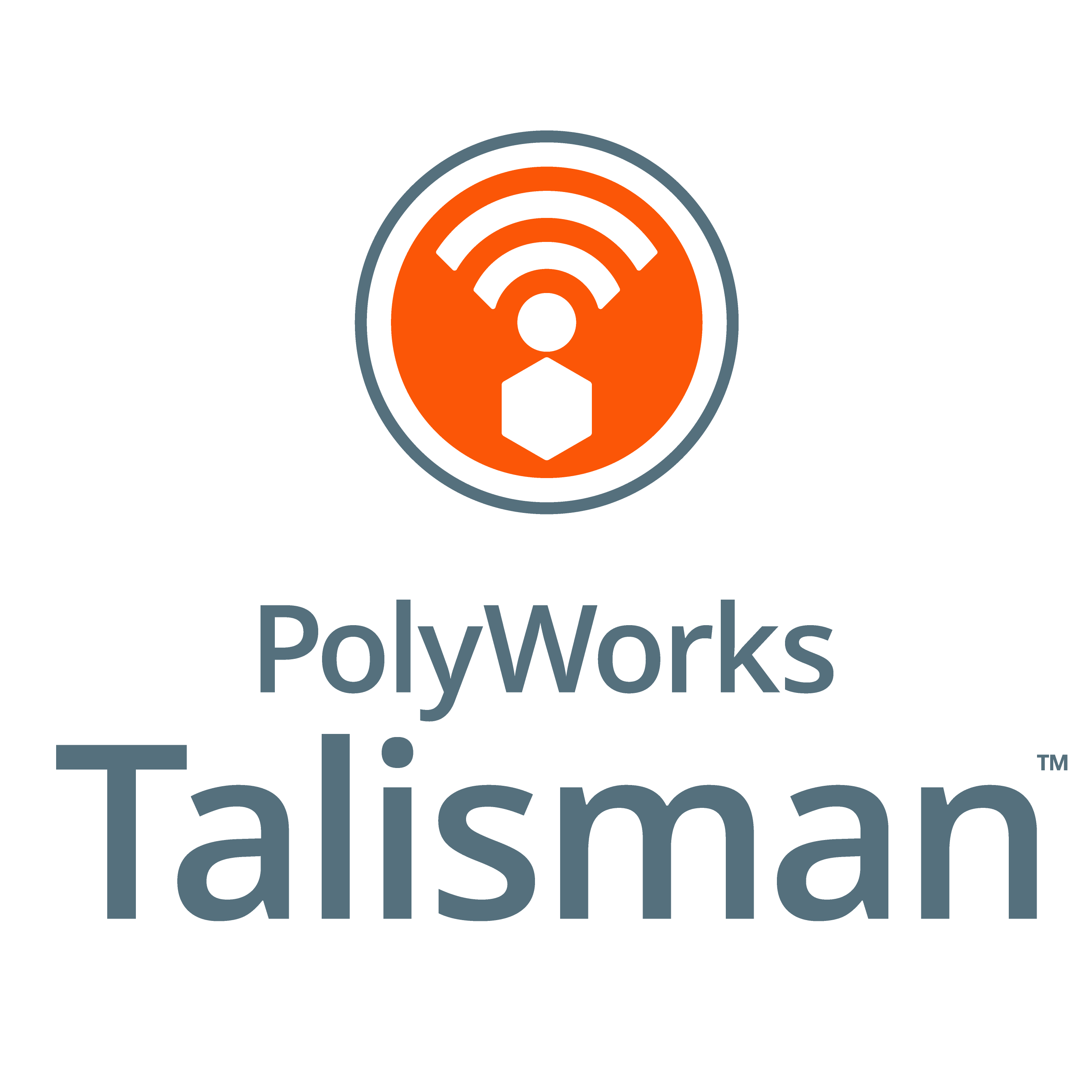 PolyWorks|Talisman™