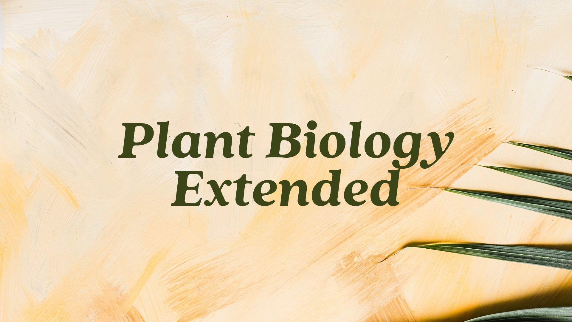 (On Demand) Extended: Exploring cellular dynamics with high ...