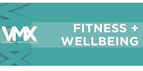 VMX Fitness + Wellbeing