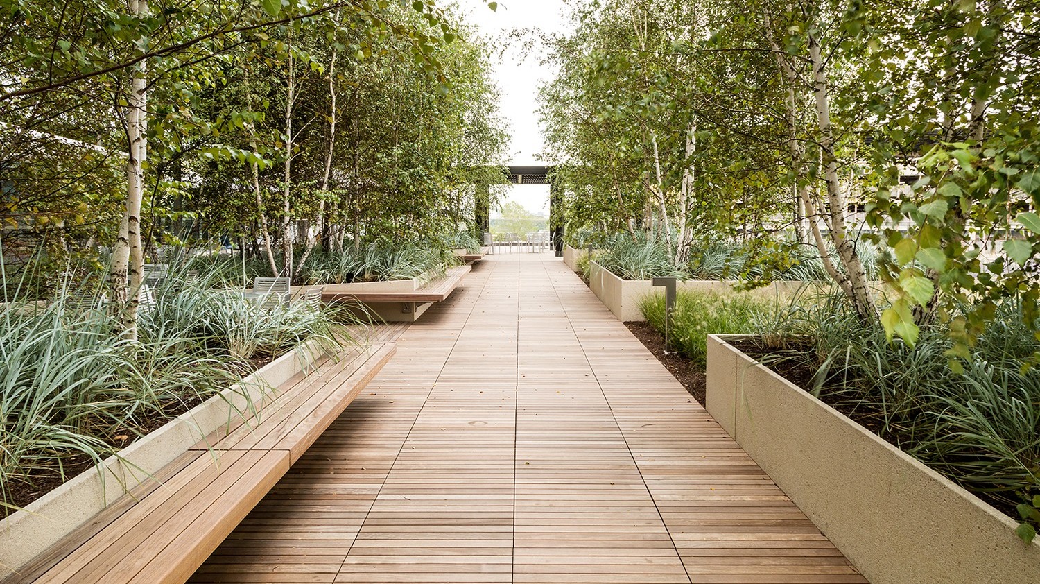 Bison Innovative Products