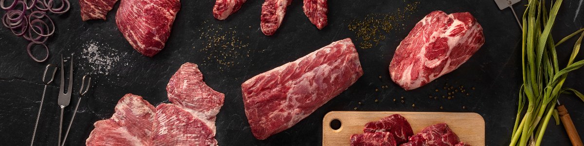CESAR NIETO IBERICO