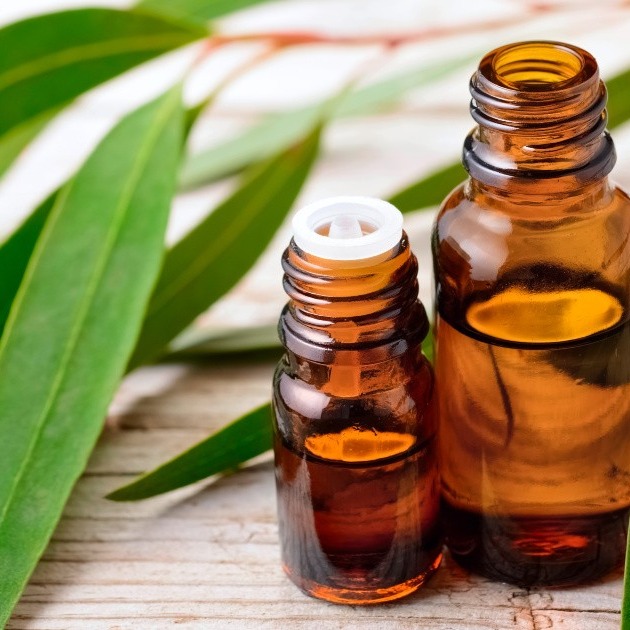 Eucalyptol Oil