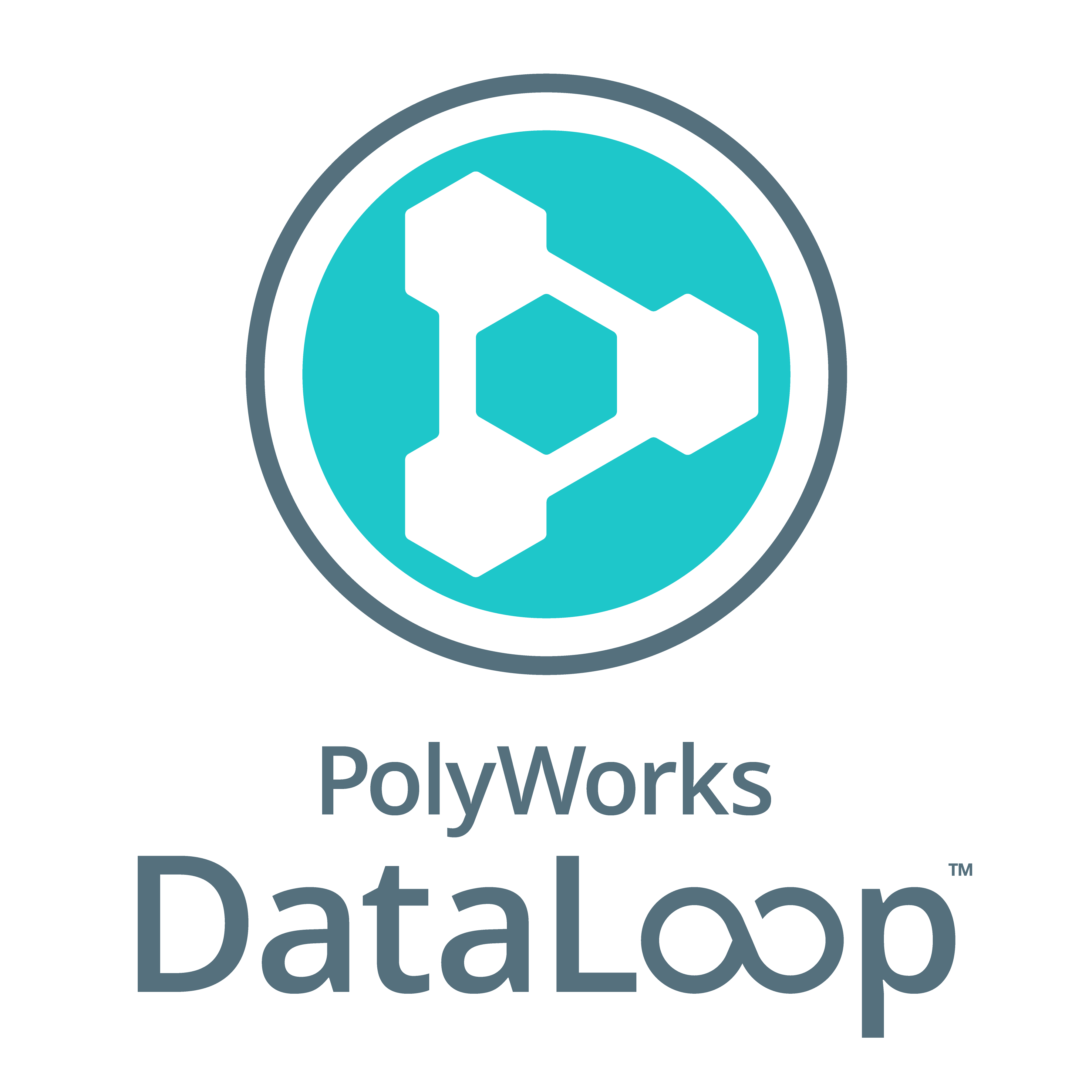 PolyWorks|DataLoop™