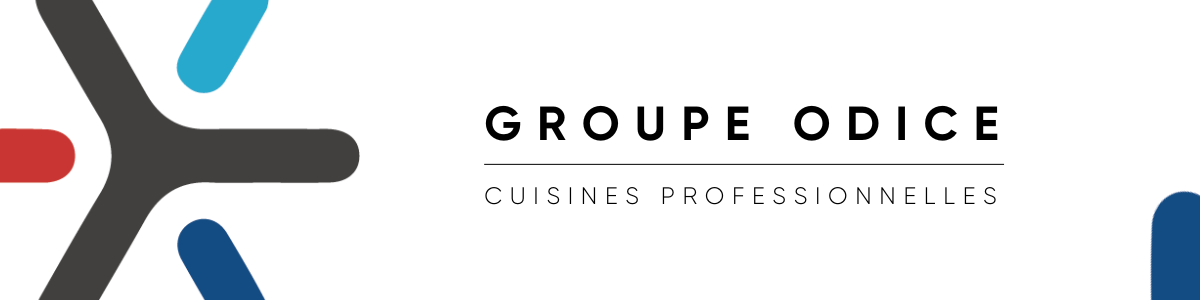 GROUPE ODICE