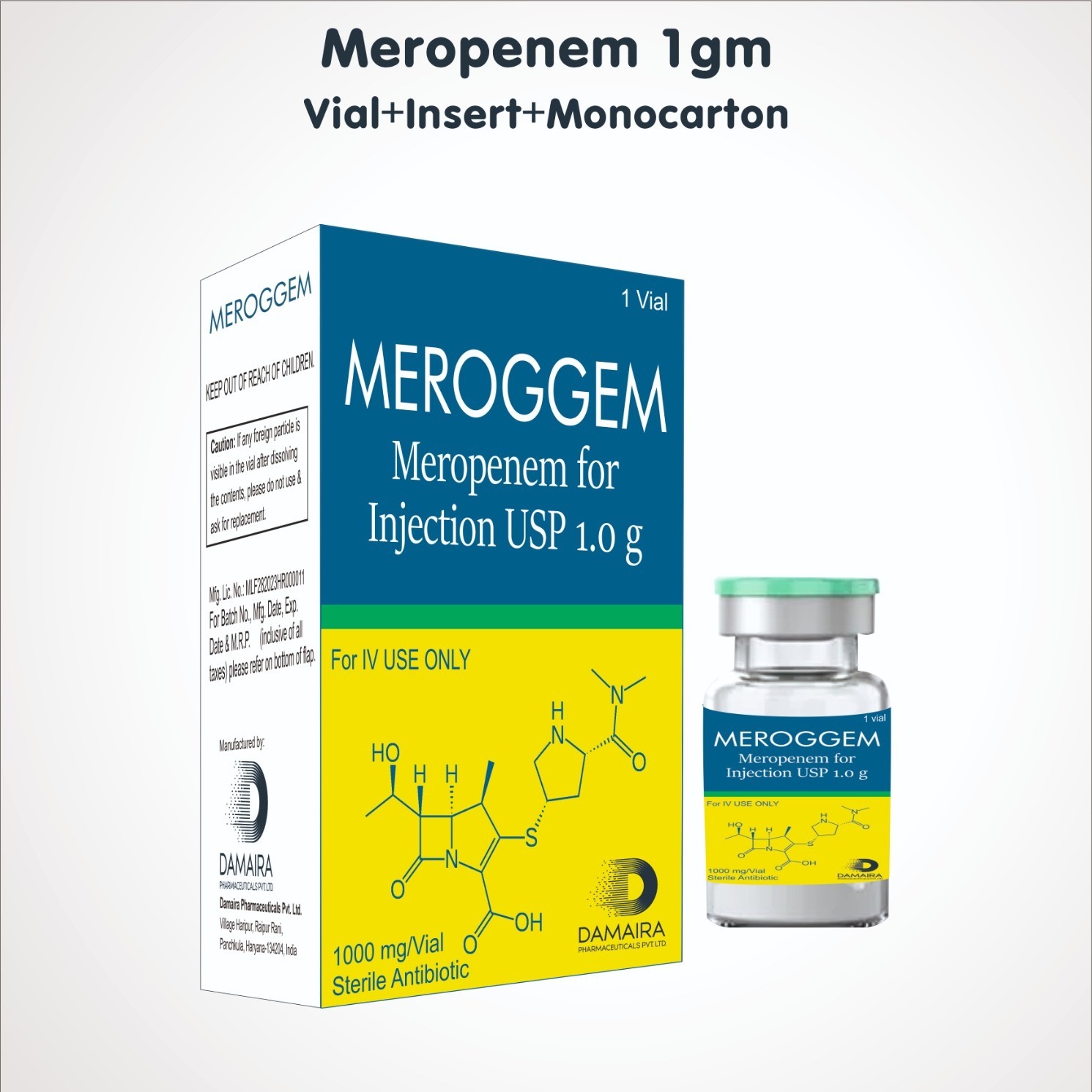 Meropenem 1 gm Powder for Injection