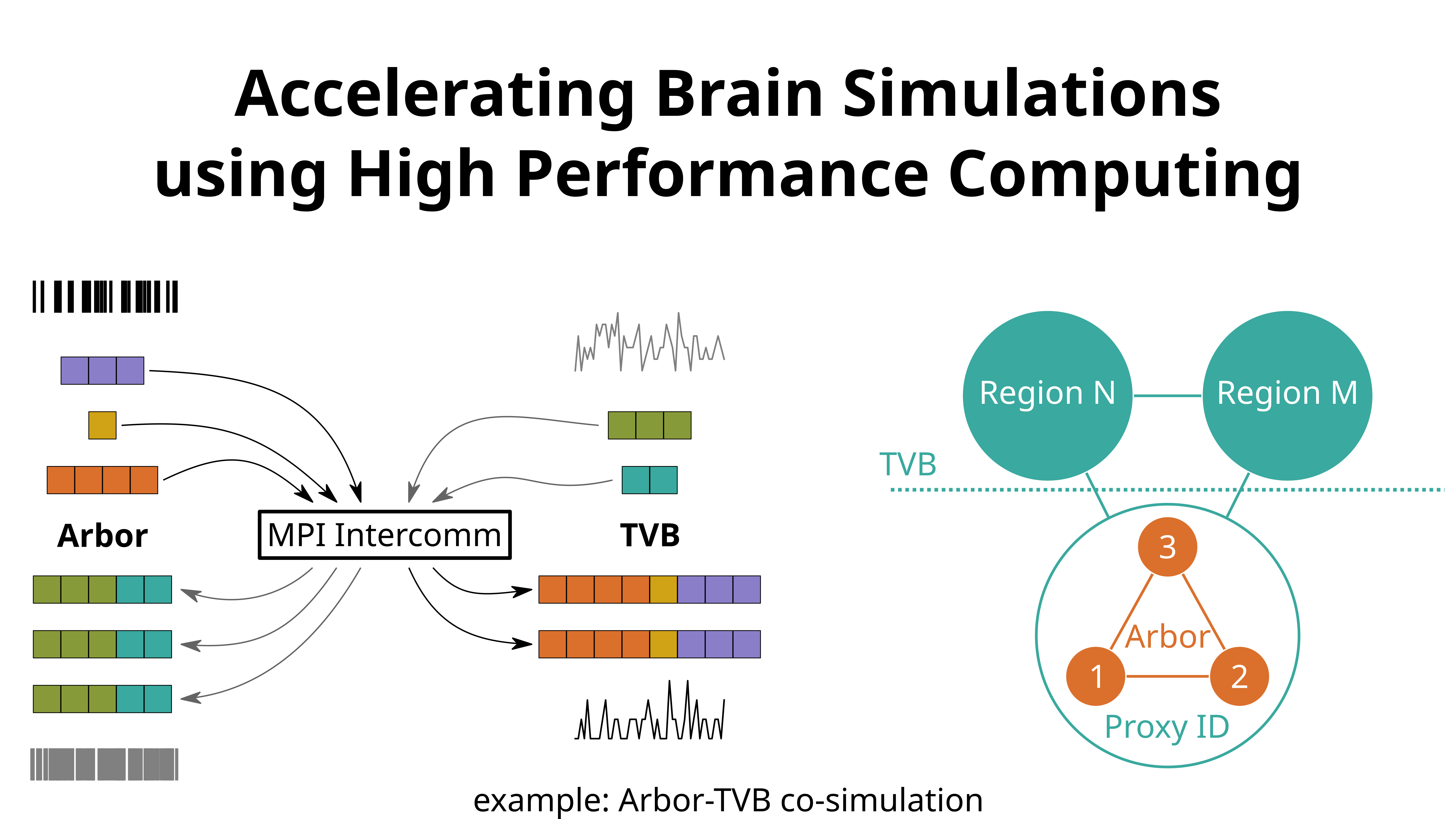 Accelerating Brain Simulations using High Performance Computing