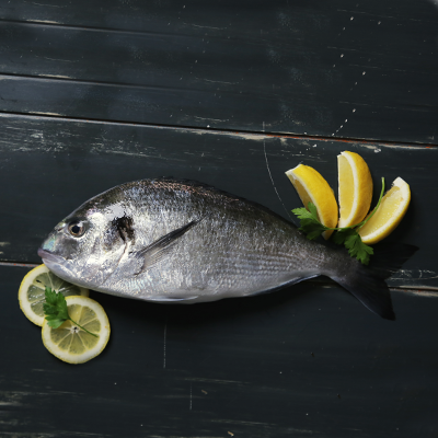 Sea Bream
