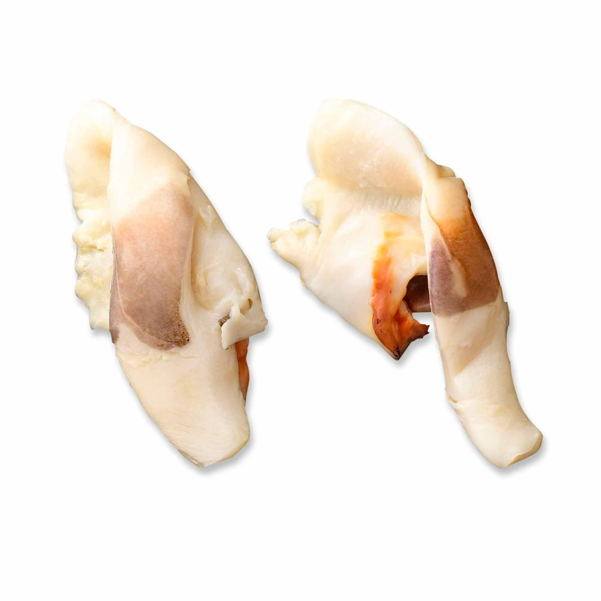 Conch Meat (85% Cleaned) & Conch Fritter Batter