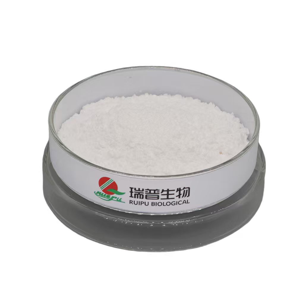 Zinc Gluconate RUIPU High Quality Food Additives ,Health Supplement