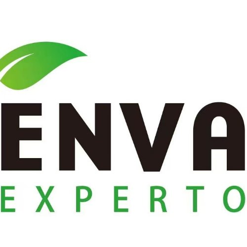 ENVA EXPERTO