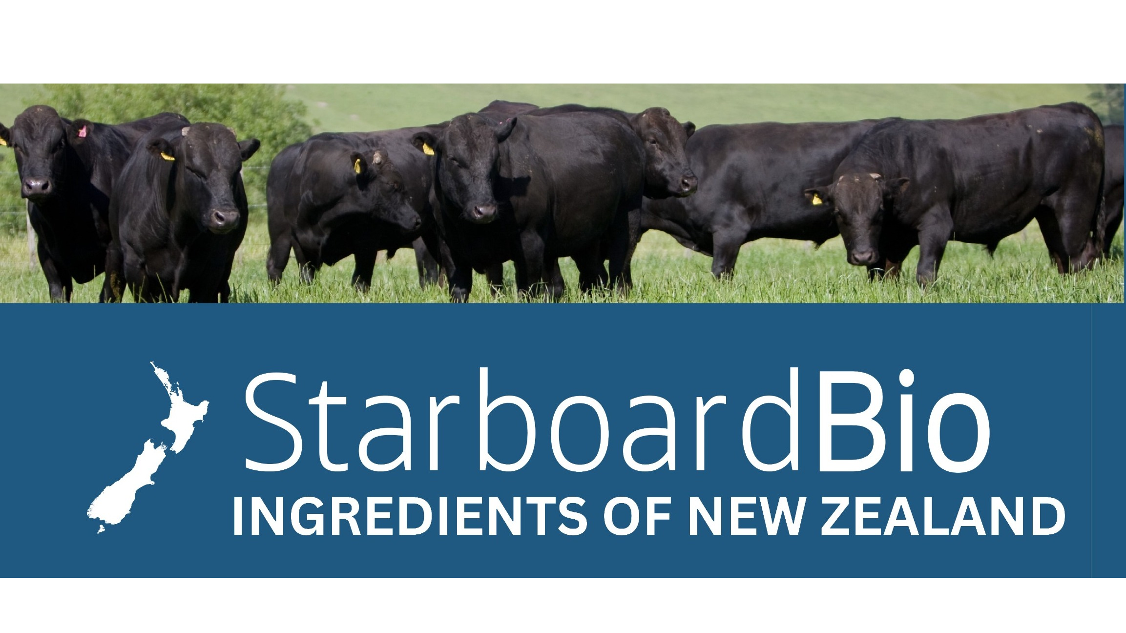 Starboard Bio New Zealand