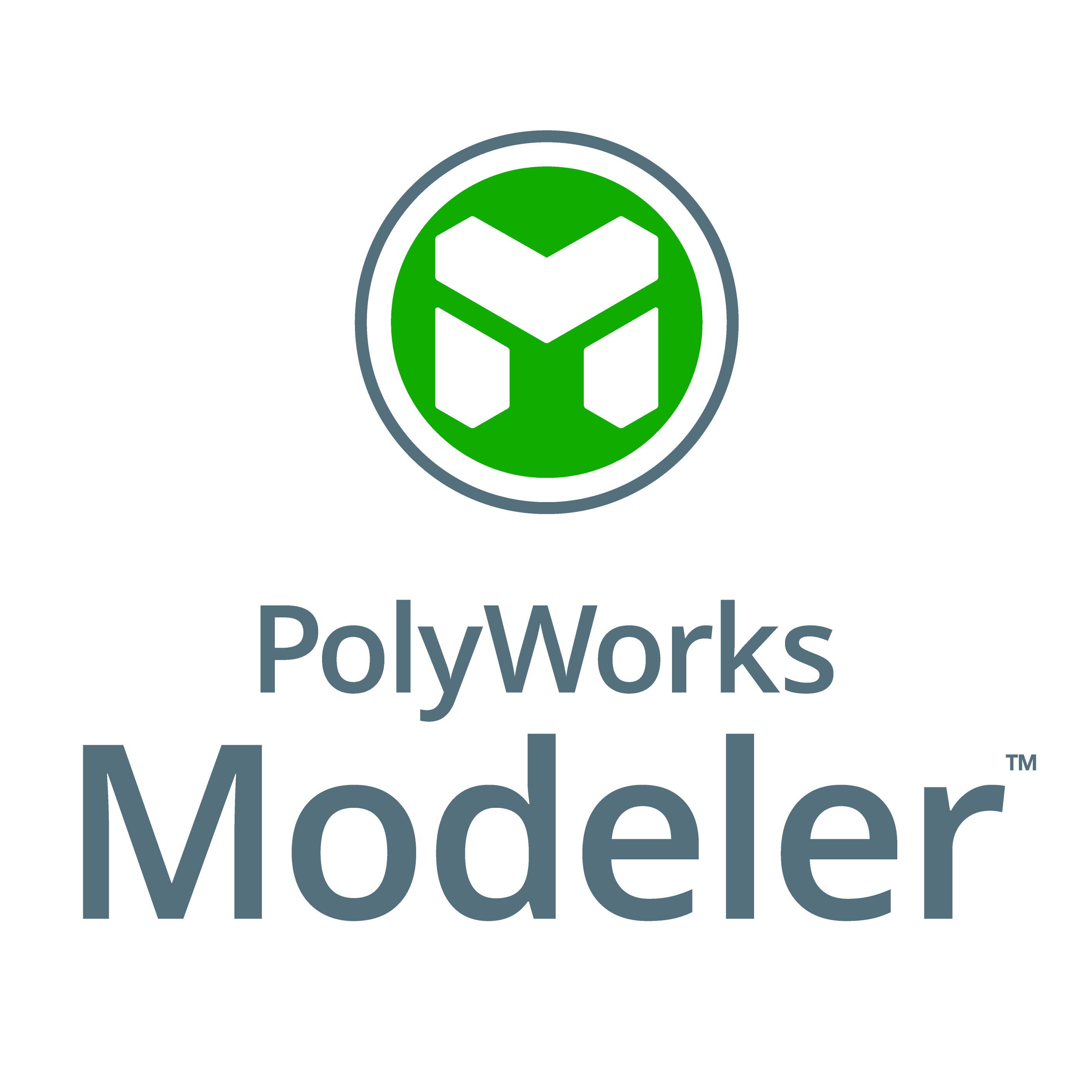 PolyWorks|Modeler™