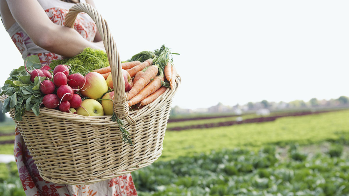 American Food Ingredients, Inc.