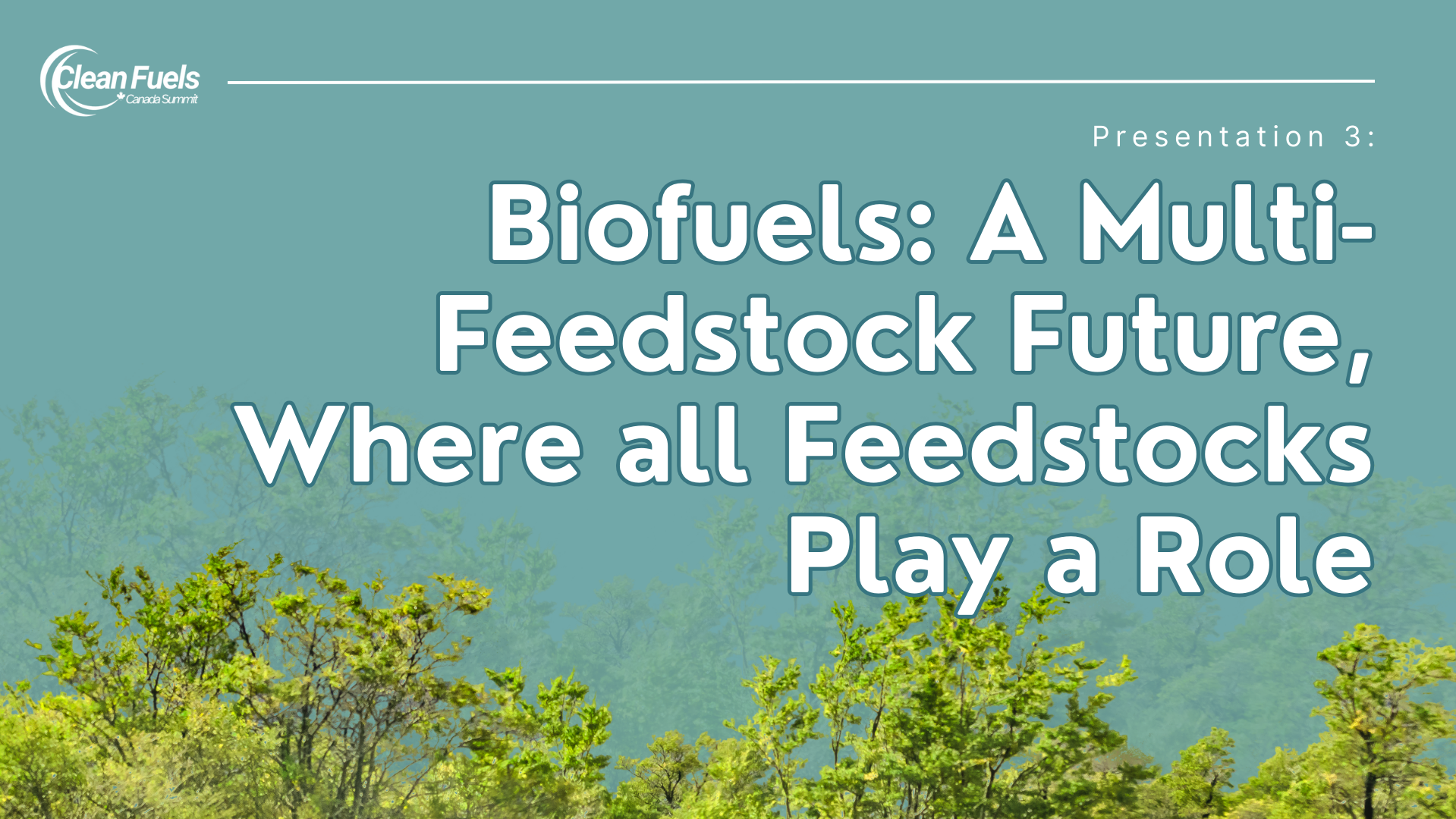 Presentation 3: Biofuels: A Multi-Feedstock Future, Where all ...