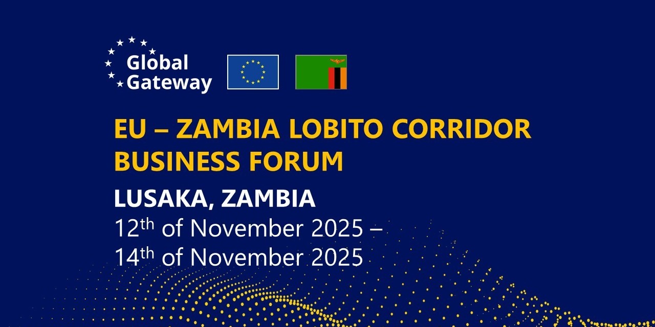 Attend networking events and meet the right people with the EU-Africa ...