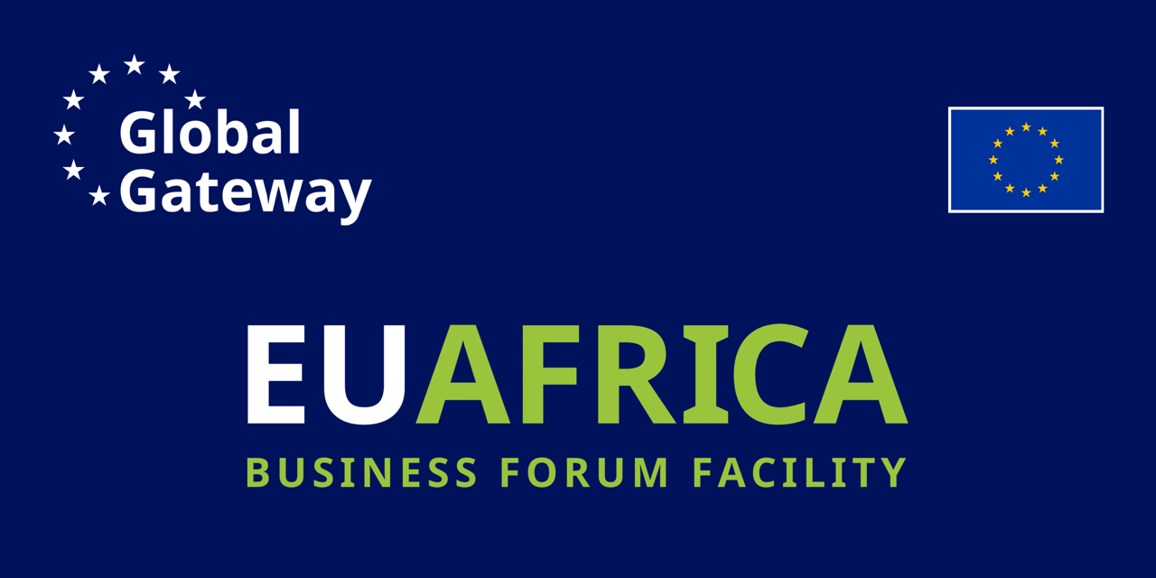 Attend networking events and meet the right people with the EU-Africa ...