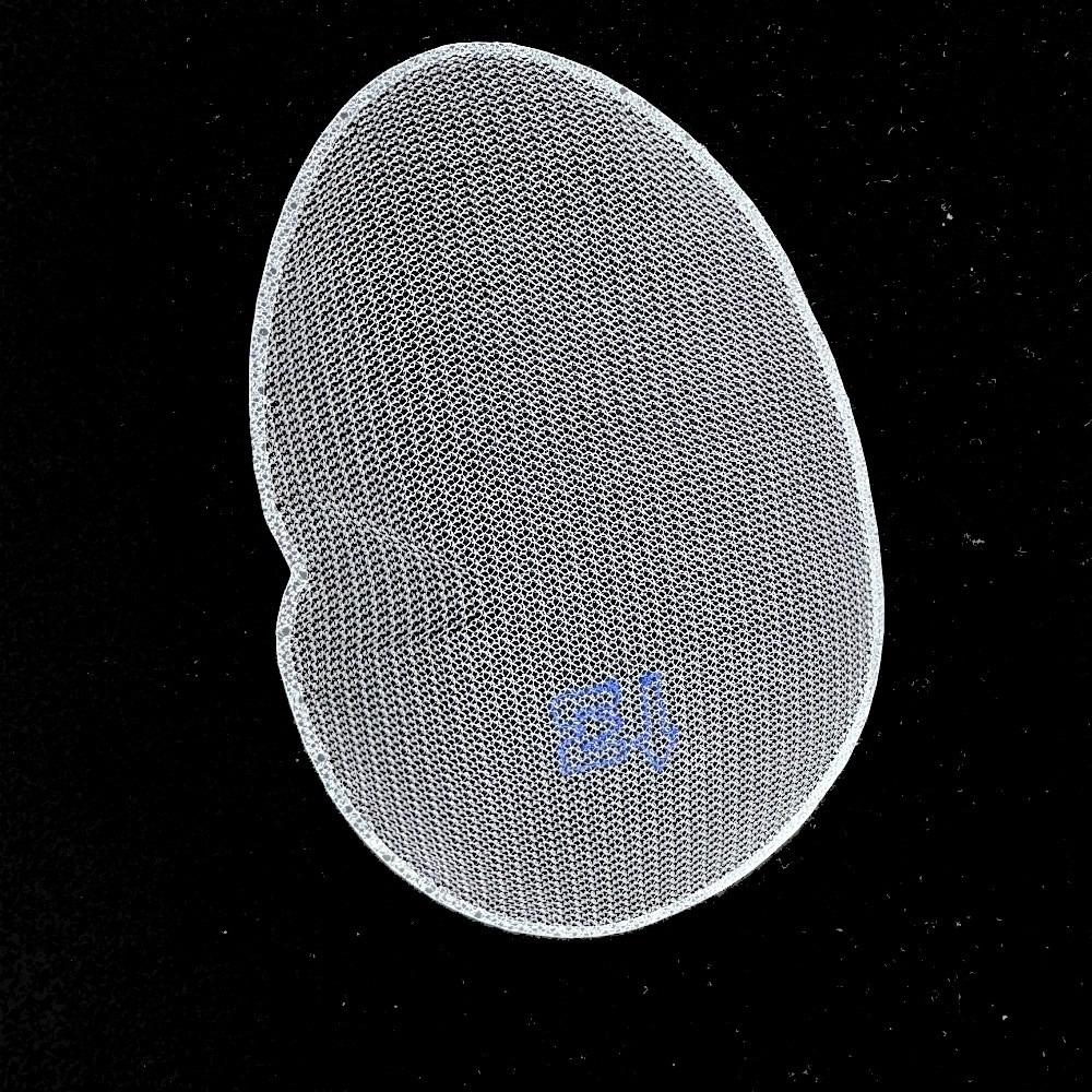Surgical Mesh