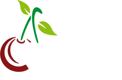 OPTIM FRUCT SRL