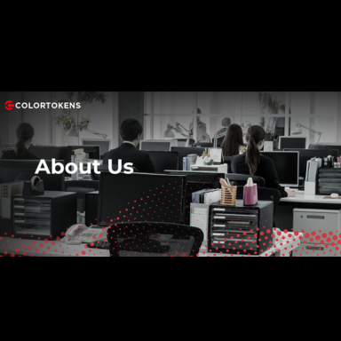 ColorTokens Overview