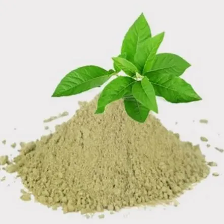 Kalmegh / Andrographis Paniculata Extract