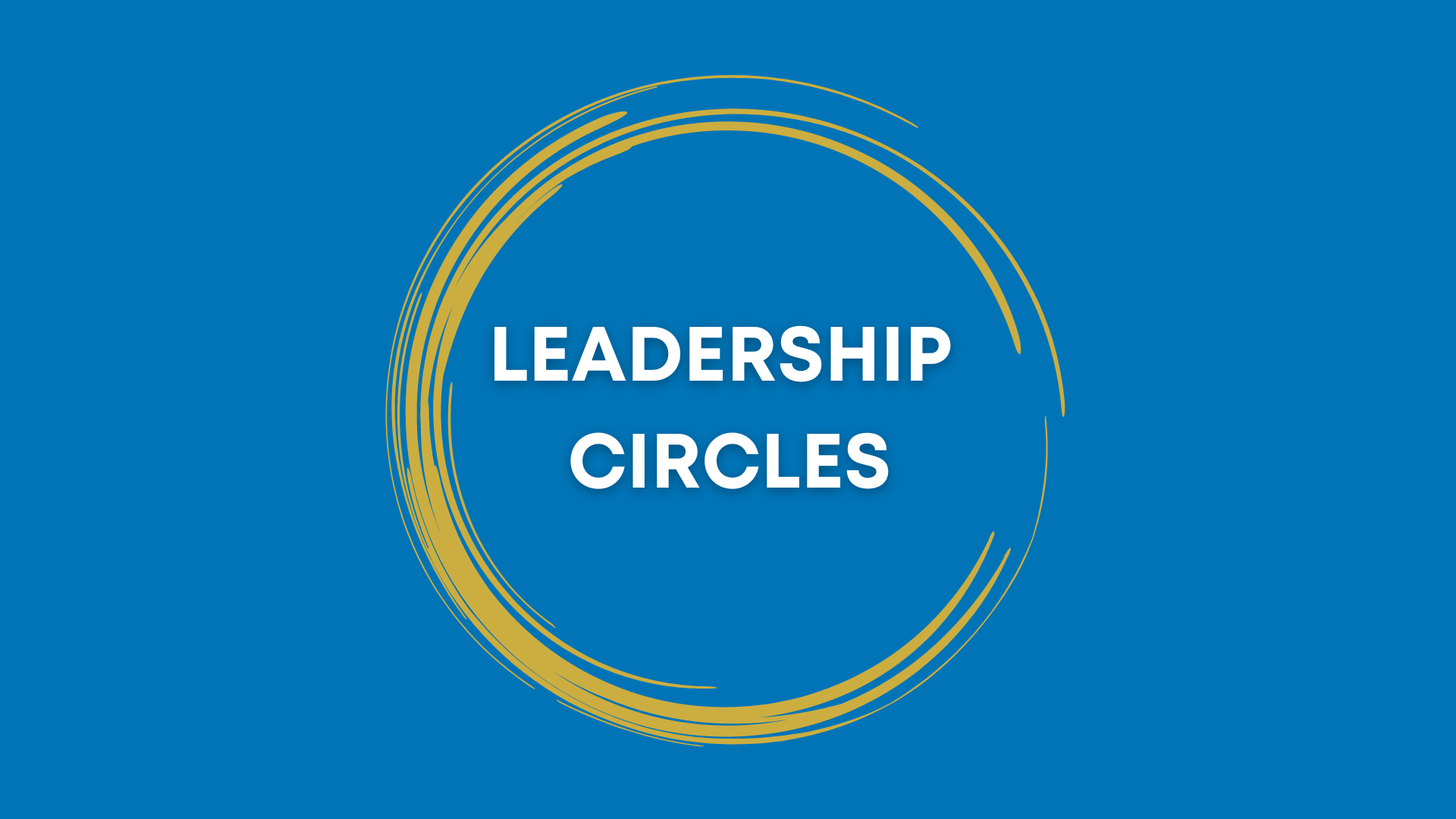 Leadership Circles