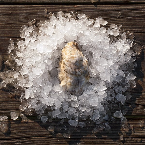 Rochambeau Oysters™