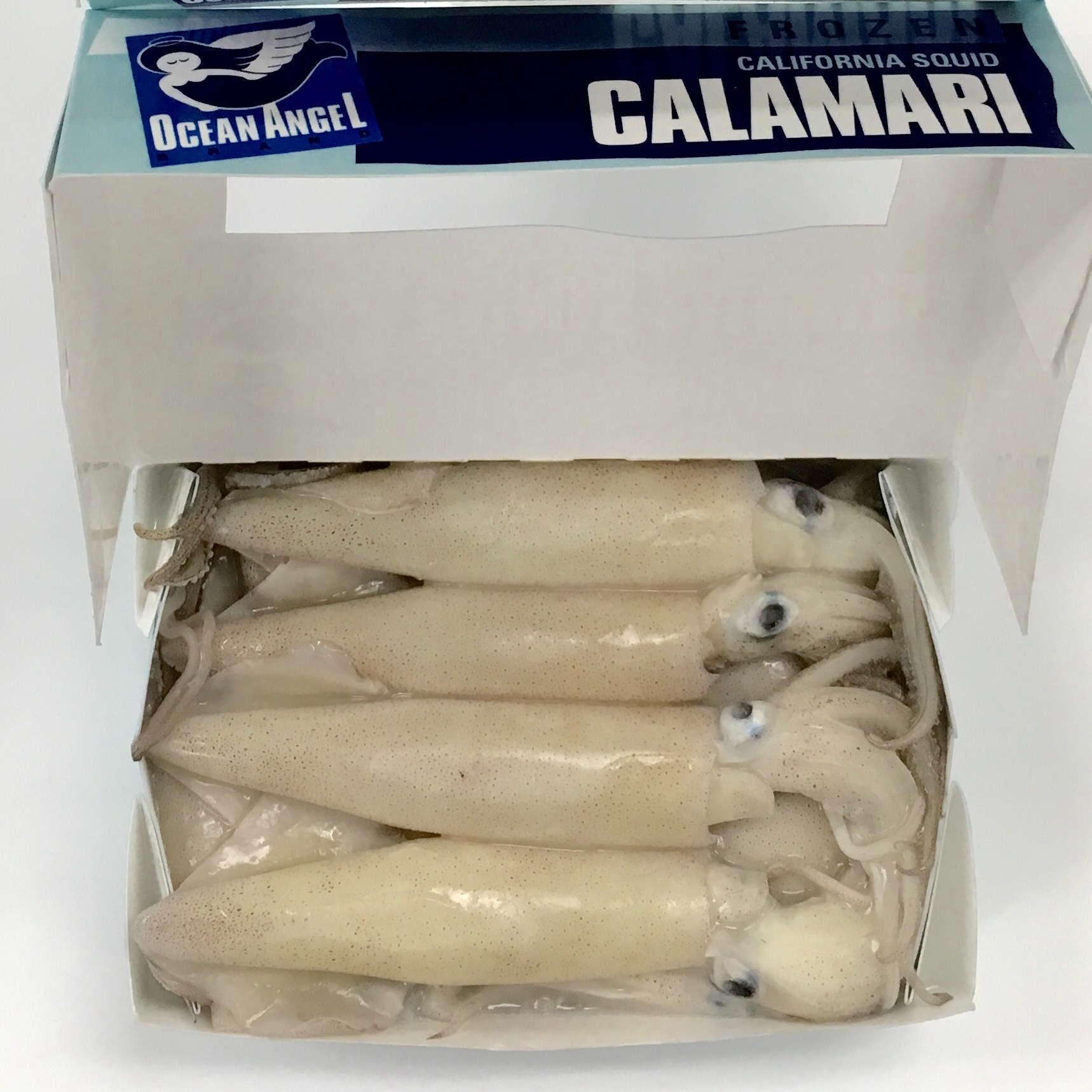 Whole Round California Market Squid (Doryteuthis (Loligo) Opalescens)