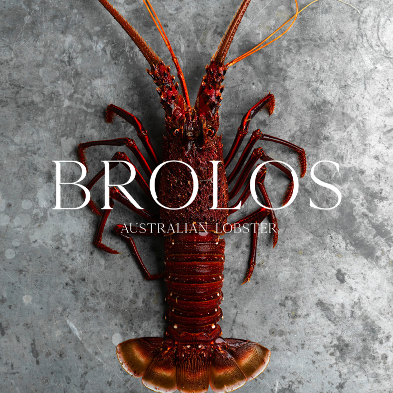 Western Rock Lobster (Panulirus Cygnus)