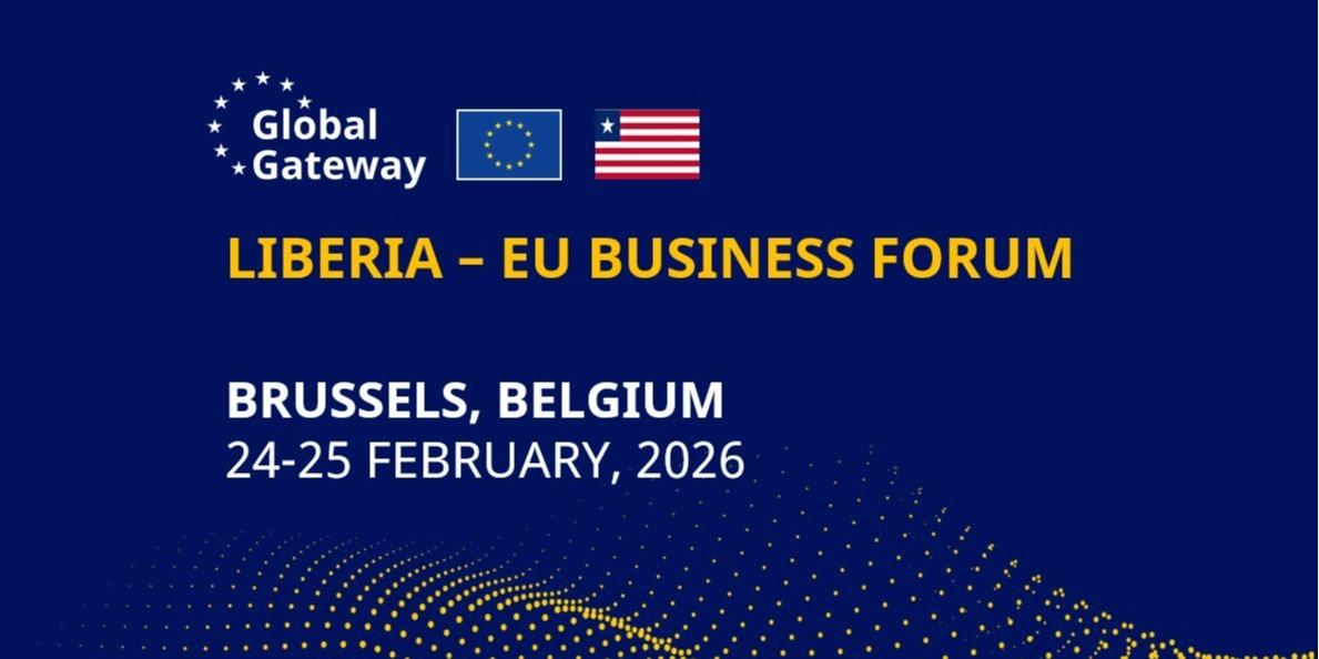 Attend networking events and meet the right people with the EU-Africa Business Forum Facility ...