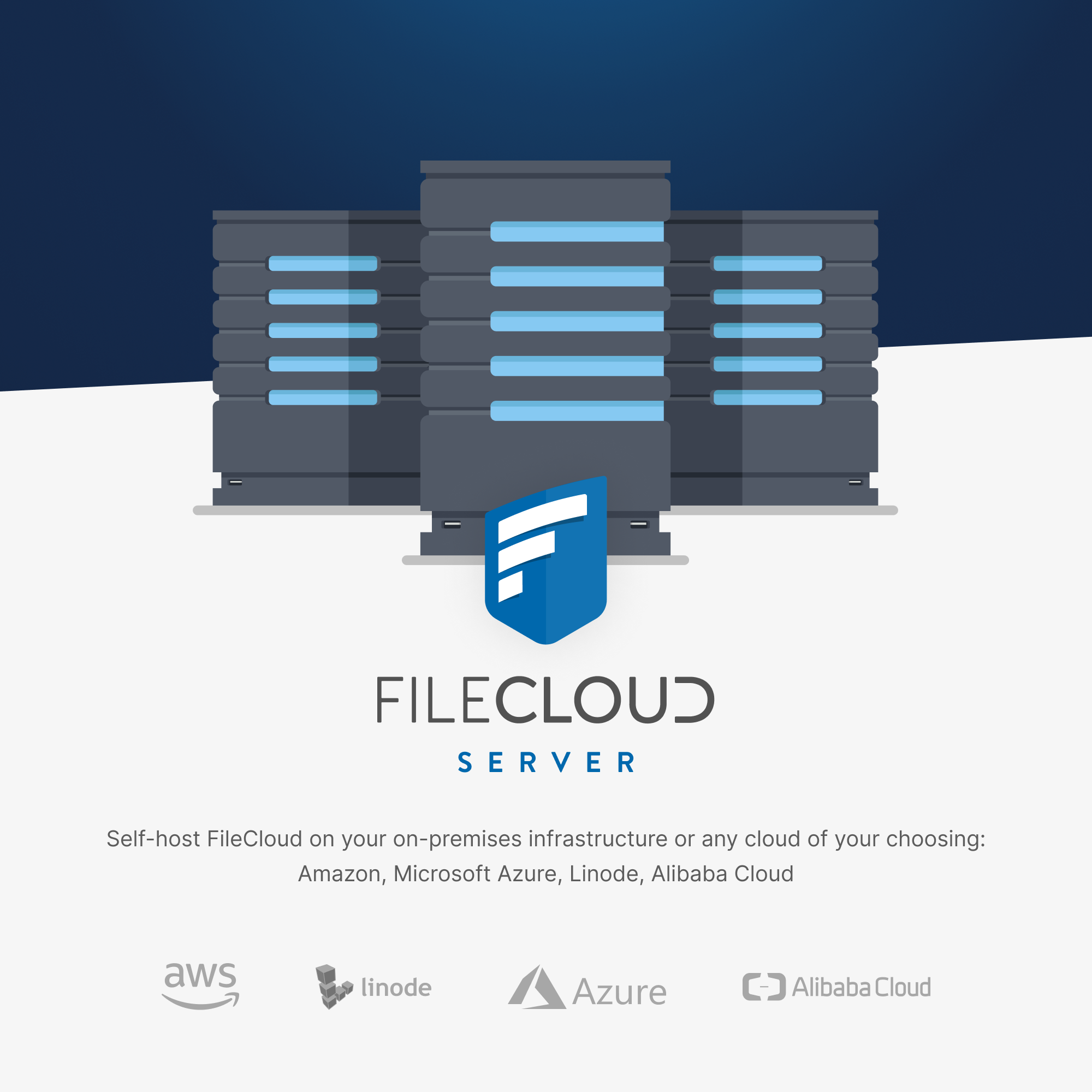 FileCloud Server