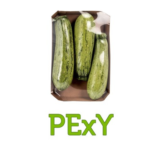 PEXY