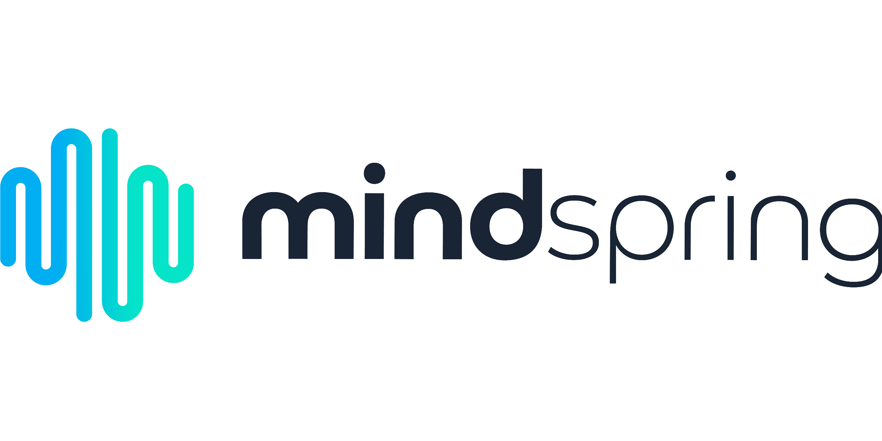 MindSpring
