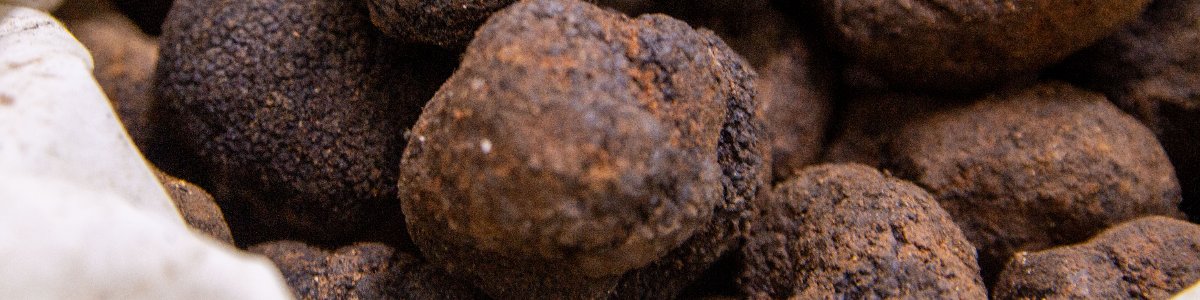 ESPORA TRUFFLES