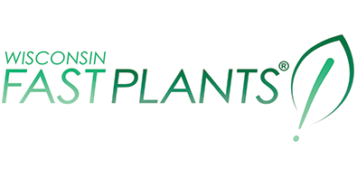 Wisconsin Fast Plants Program / Rapid-Cycling Brassica Collection
